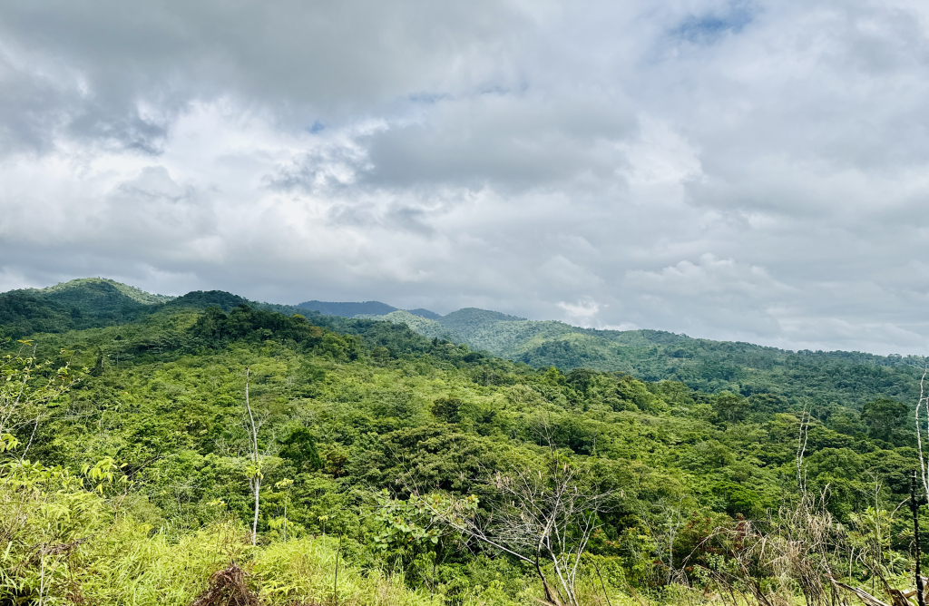 Se vende amplia propiedad en La Tigra de San Carlos, Costa Rica - Hābita CR